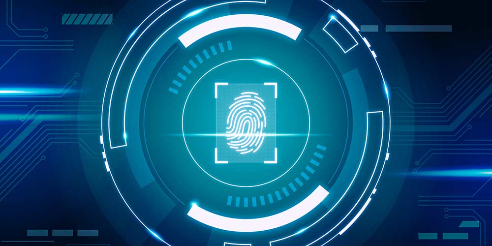 Cómo se forman nuestras huellas dactilares y por qué son únicas: la ...